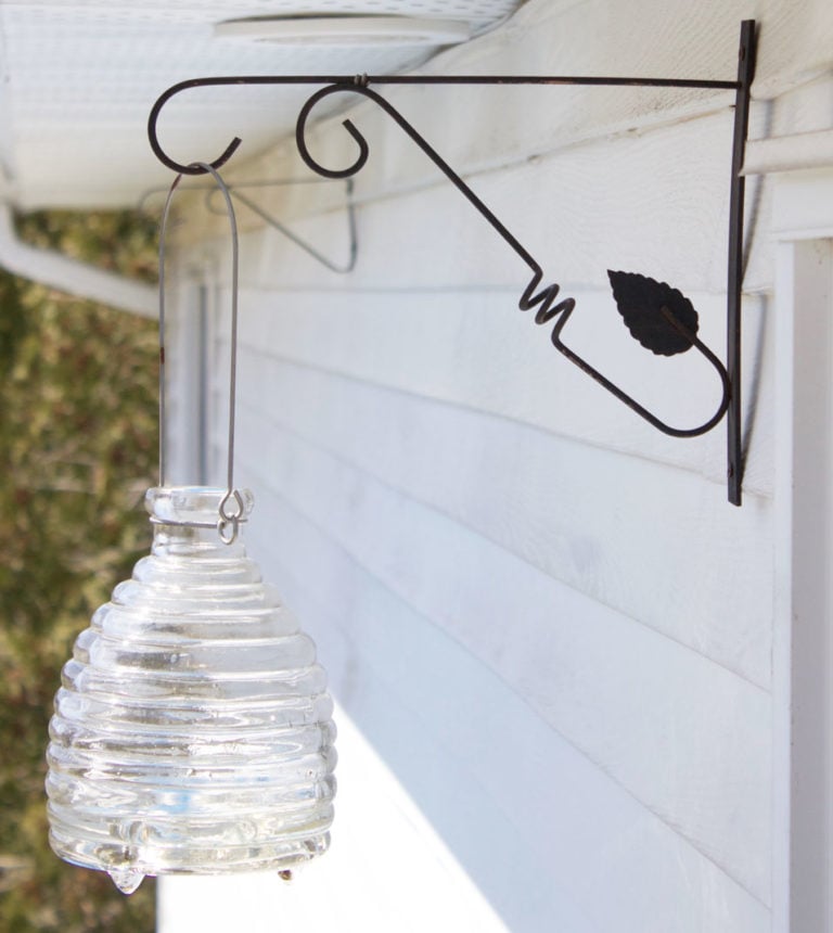 Best Homemade Bee Trap Formula - Nikki's Plate Blog