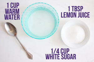 Best Homemade Bee Trap Formula - Nikki's Plate Blog