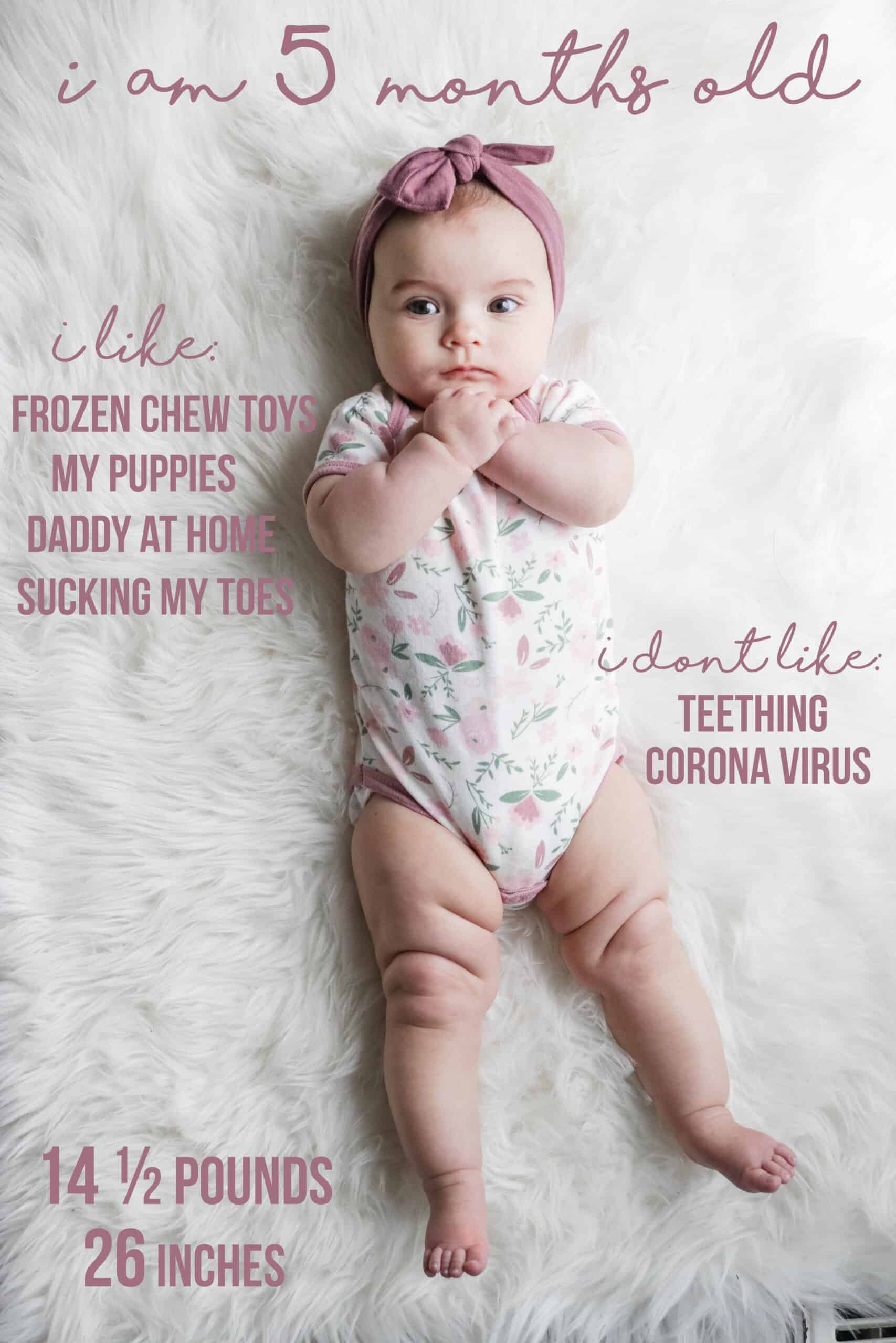 5 Month Baby Update Feeding Sleep And Milestones Nikki s Plate