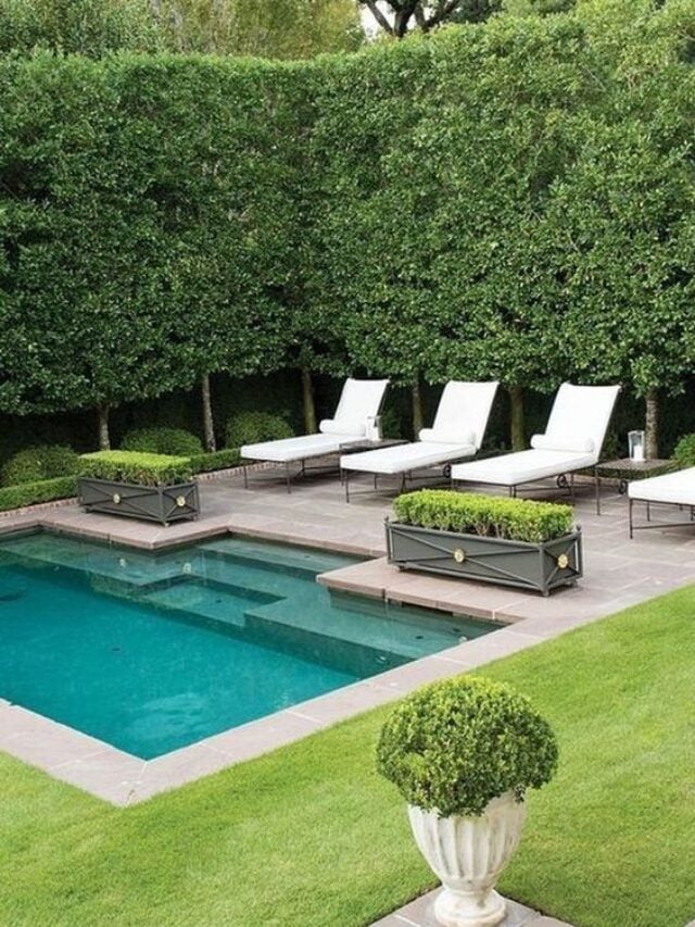 BEAUTIFUL SWIMMING POOLS YOUR BACKYARD NEEDS - Nikki's Plate