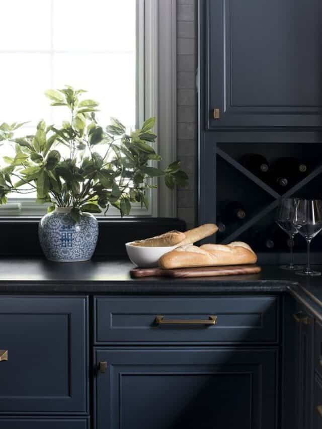 15 BEAUTIFUL KITCHENS WITH SOAPSTONE COUNTERTOPS (Copy) - Nikki's Plate