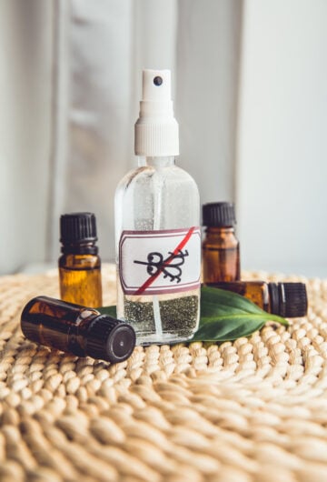Homemade Natural Bug Spray Recipe - Nikki's Plate