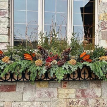 40 Christmas Window Boxes Ideas - Nikki's Plate