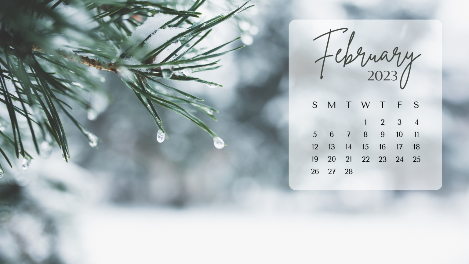 FREE FEBRUARY 2023 DESKTOP CALENDAR BACKGROUNDS (EASY DOWNLOAD)
