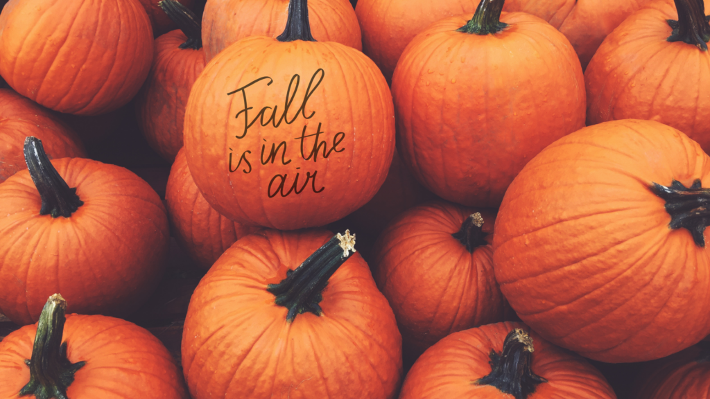 20 FREE Aesthetic Fall Wallpaper iPhone and Desktop