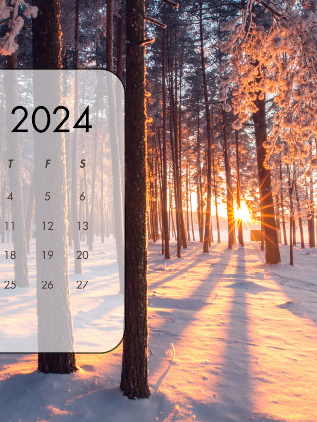 Tech Backgrounds Archives - Nikki's Plate