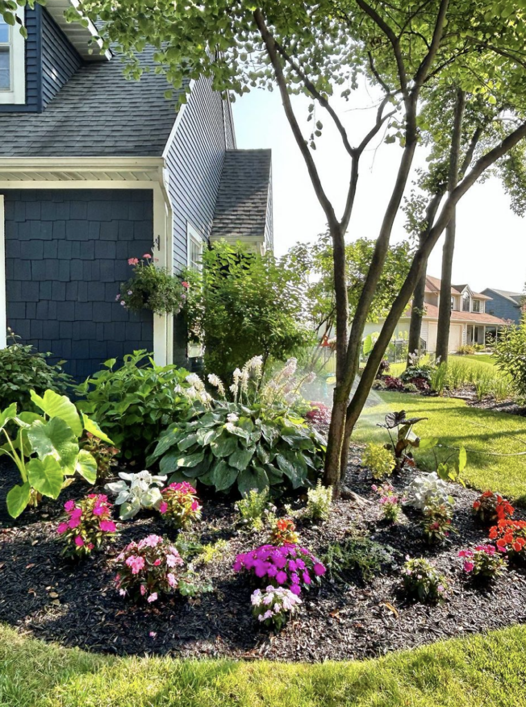 Elevate Your Curb Appeal: Creating Beautiful Front Yard Landscaping