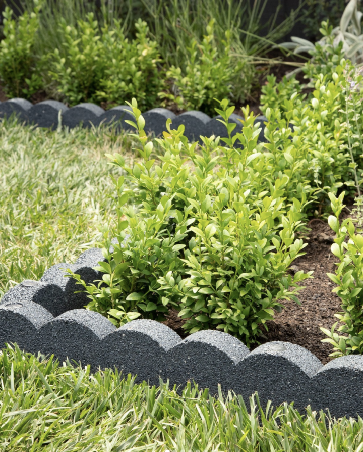 20 Best Garden Edging Ideas to Transform Your Outdoor Space