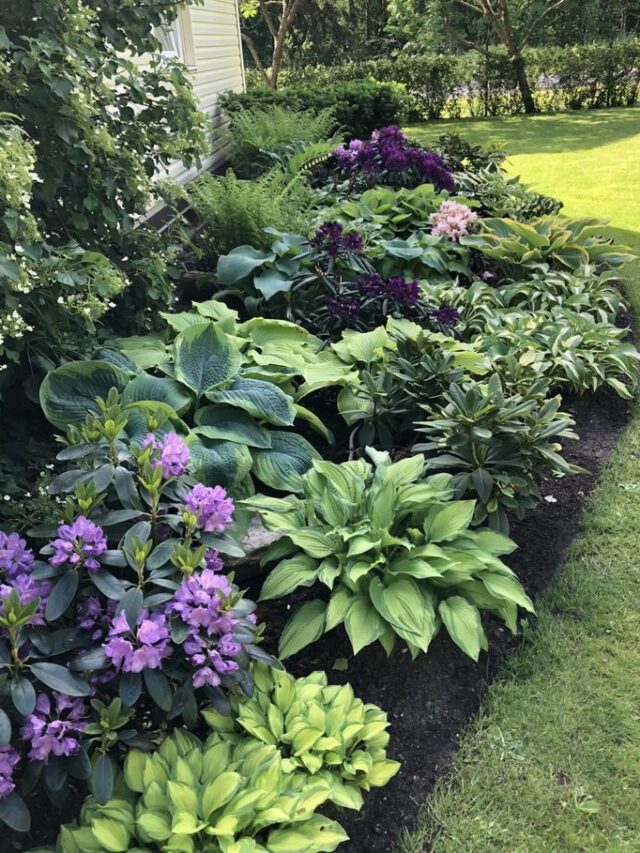 How to Create a Beautiful Outdoor Space with Landscaping - NP