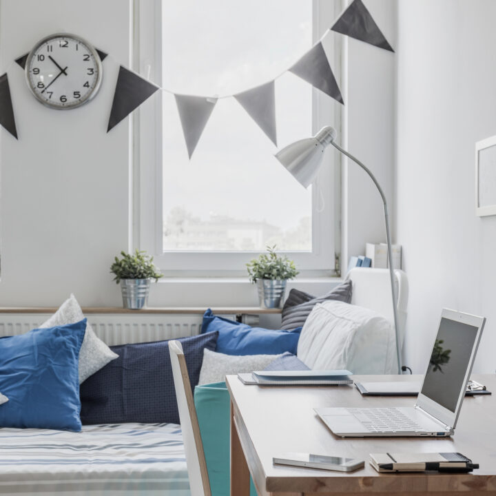 Creating the Ultimate Student Room Setup - Nikki's Plate