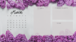20 FREE MARCH 2025 DESKTOP CALENDAR BACKGROUNDS (EASY DOWNLOAD)