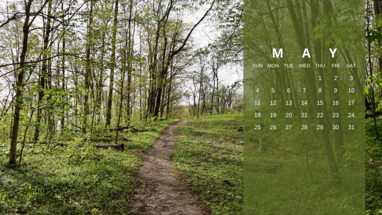 20 Free May 2025 Desktop Calendar Backgrounds (EASY DOWNLOAD)