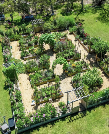 25 Beautiful Homestead Garden Ideas to Maximize Your Space