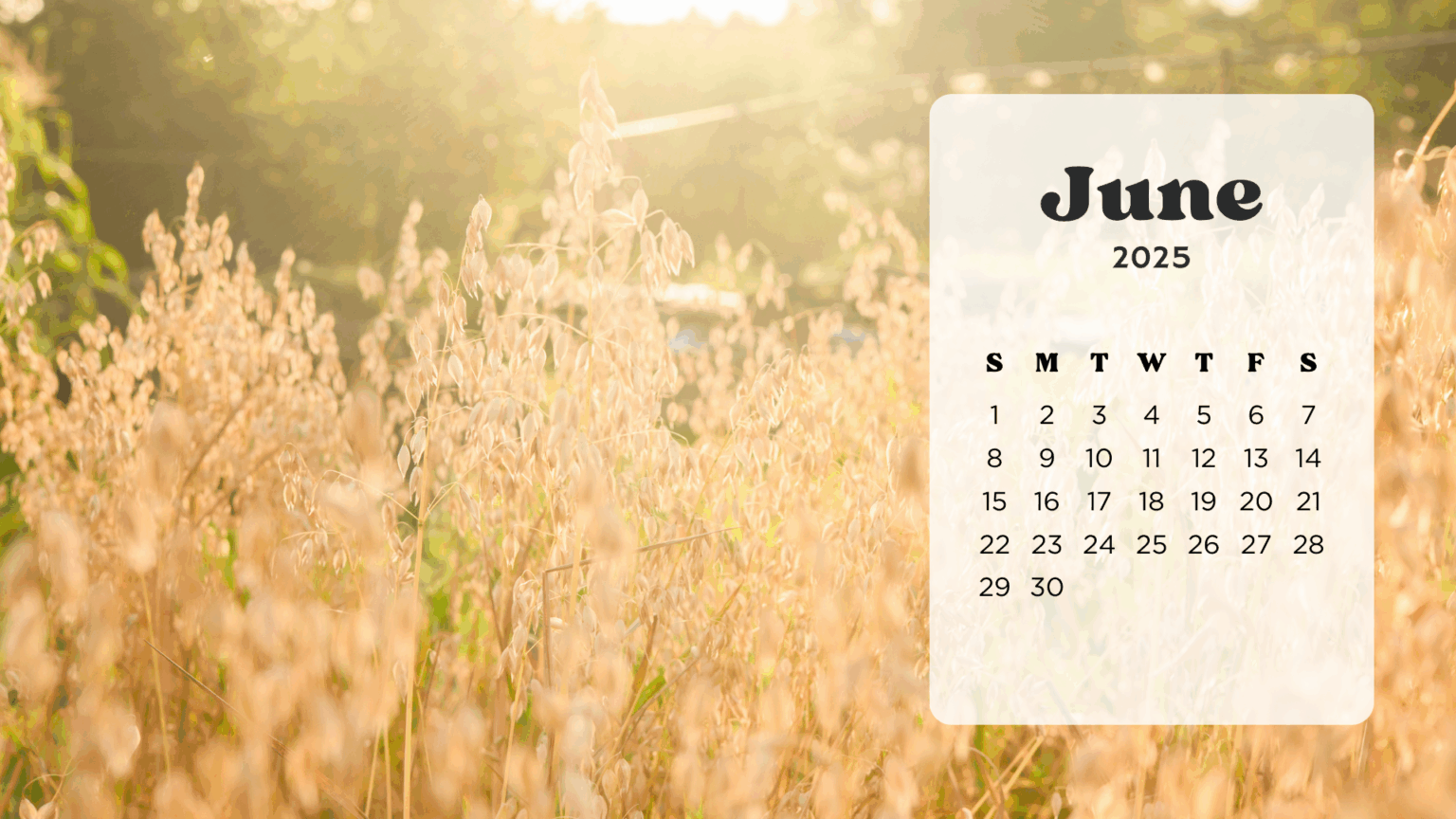 25 Free June 2025 Desktop Calendar Backgrounds (EASY DOWNLOAD)