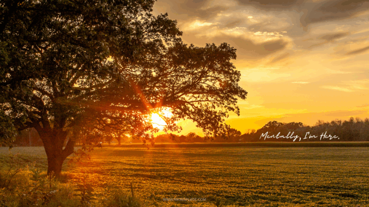 30 Free Homesteading Desktop Backgrounds to Inspire Your Rustic Dreams