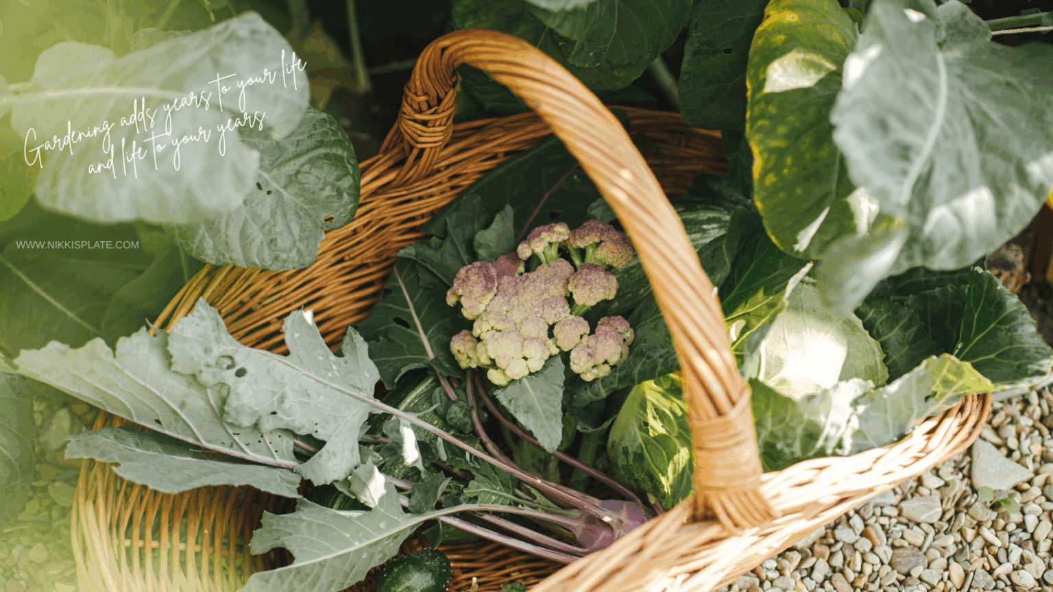 30 Free Homesteading Desktop Backgrounds to Inspire Your Rustic Dreams