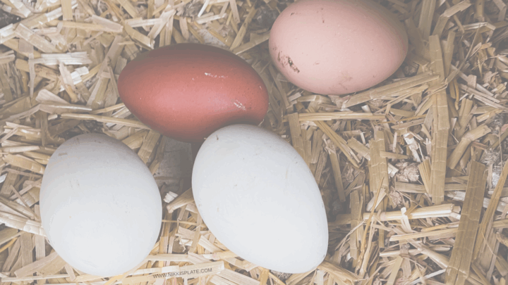 30 Free Homesteading Desktop Backgrounds to Inspire Your Rustic Dreams