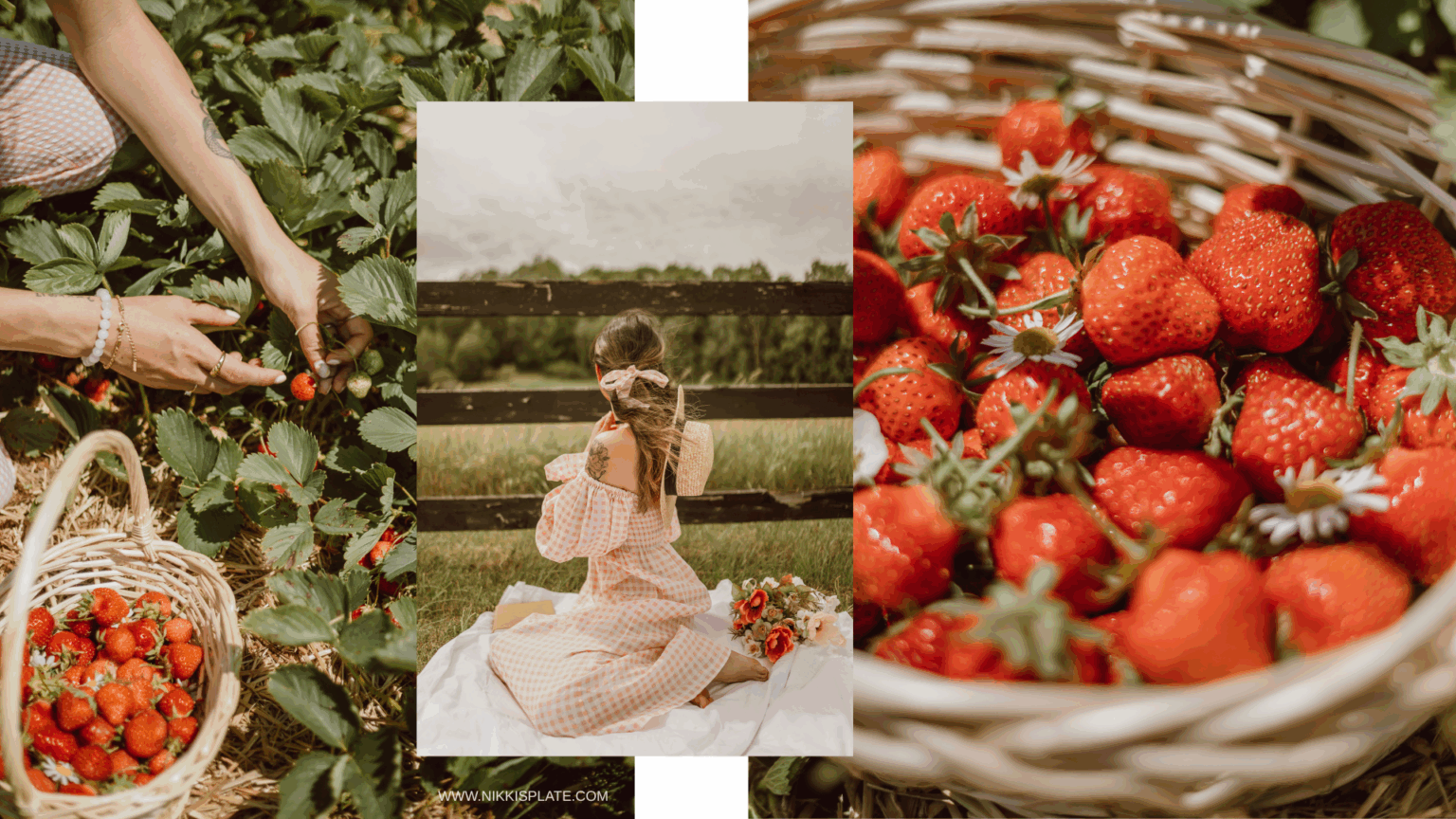 30 Free Homesteading Desktop Backgrounds to Inspire Your Rustic Dreams