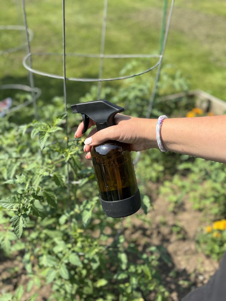 DIY Natural Pest Control for Your Home and Garden - Nikki's Plate