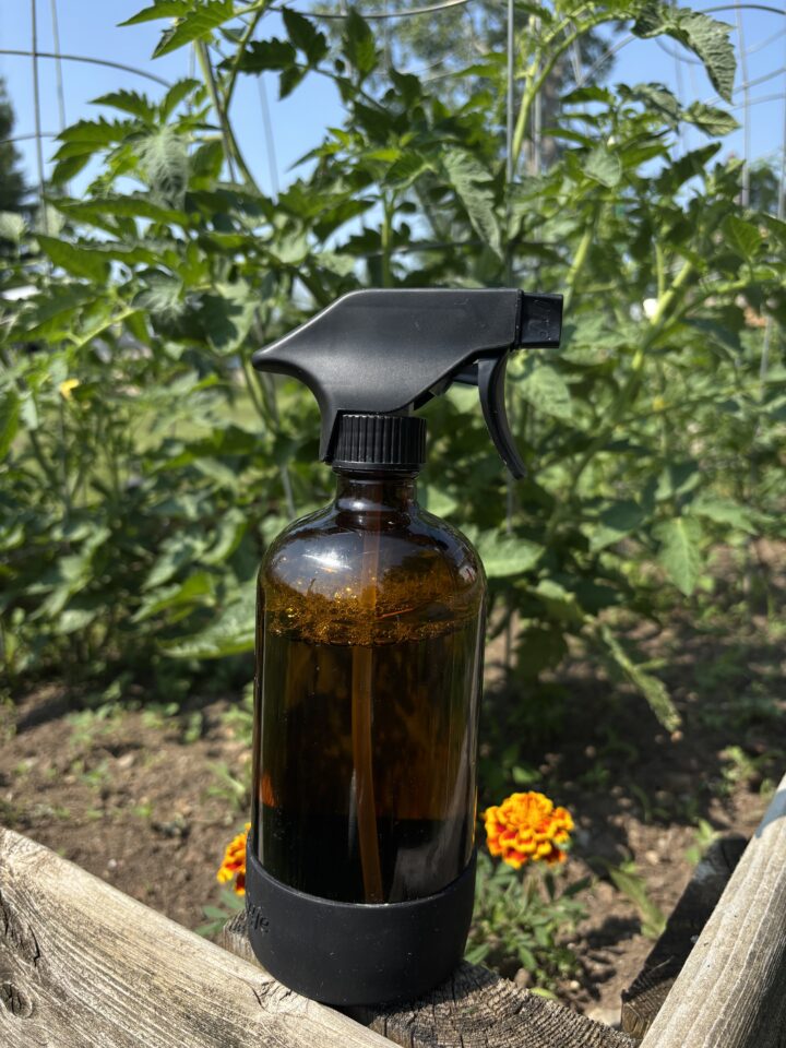 DIY Natural Pest Control for Your Home and Garden - Nikki's Plate