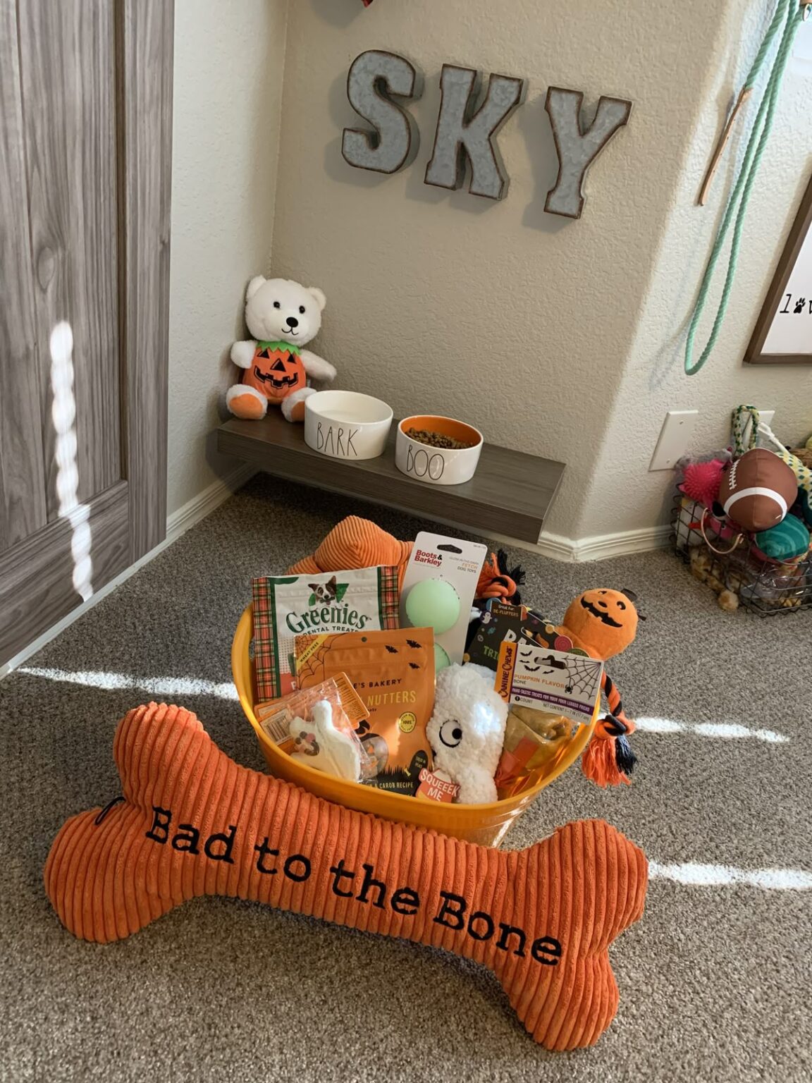 10 Pet-Friendly Boo Basket Ideas Your Furry Friends Will Love