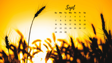 30 Free September 2025 Desktop Calendar Backgrounds (EASY DOWNLOAD)