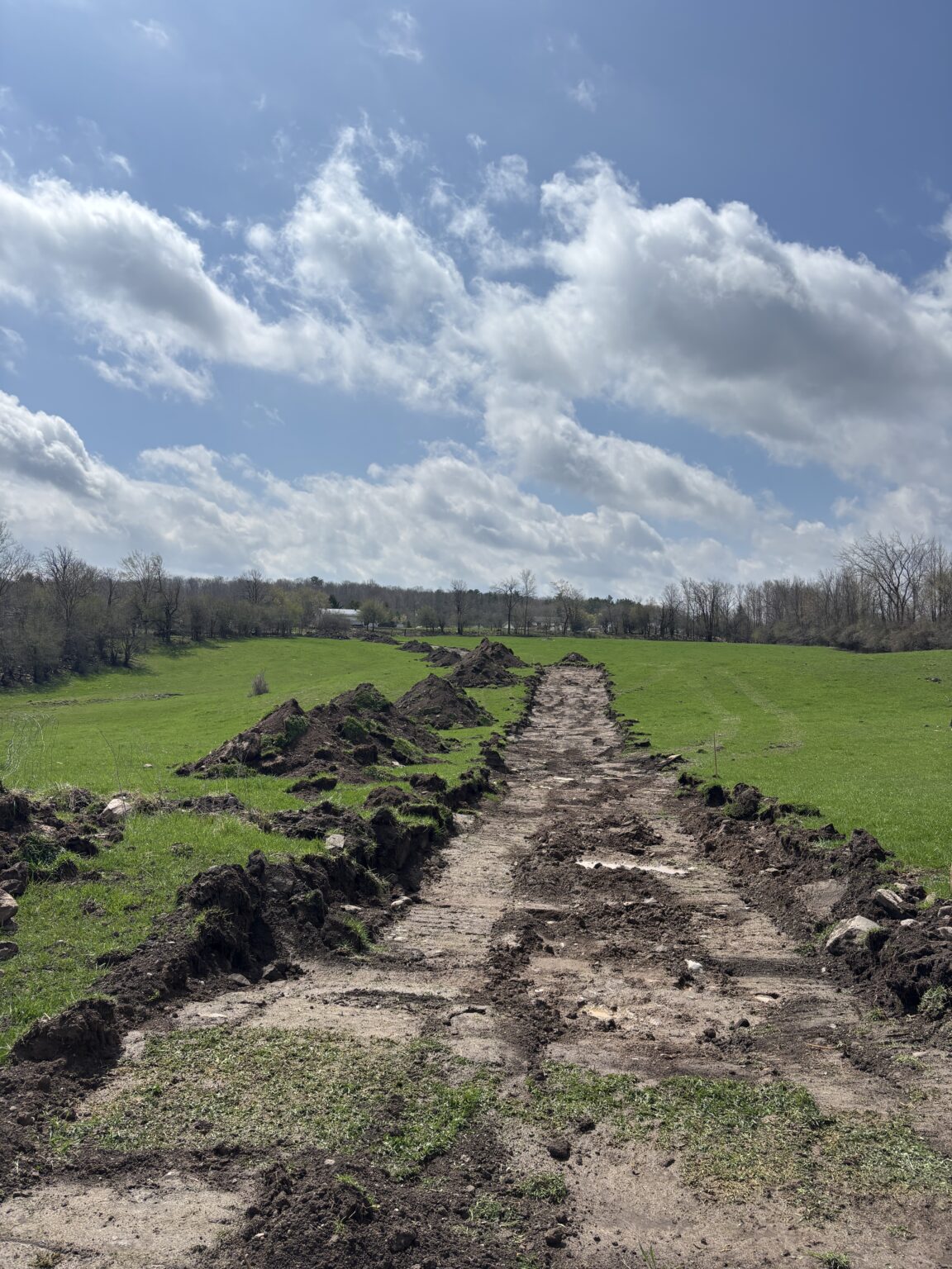 Building a Rural Driveway: Our 700-Metre Path to Our Farmhouse