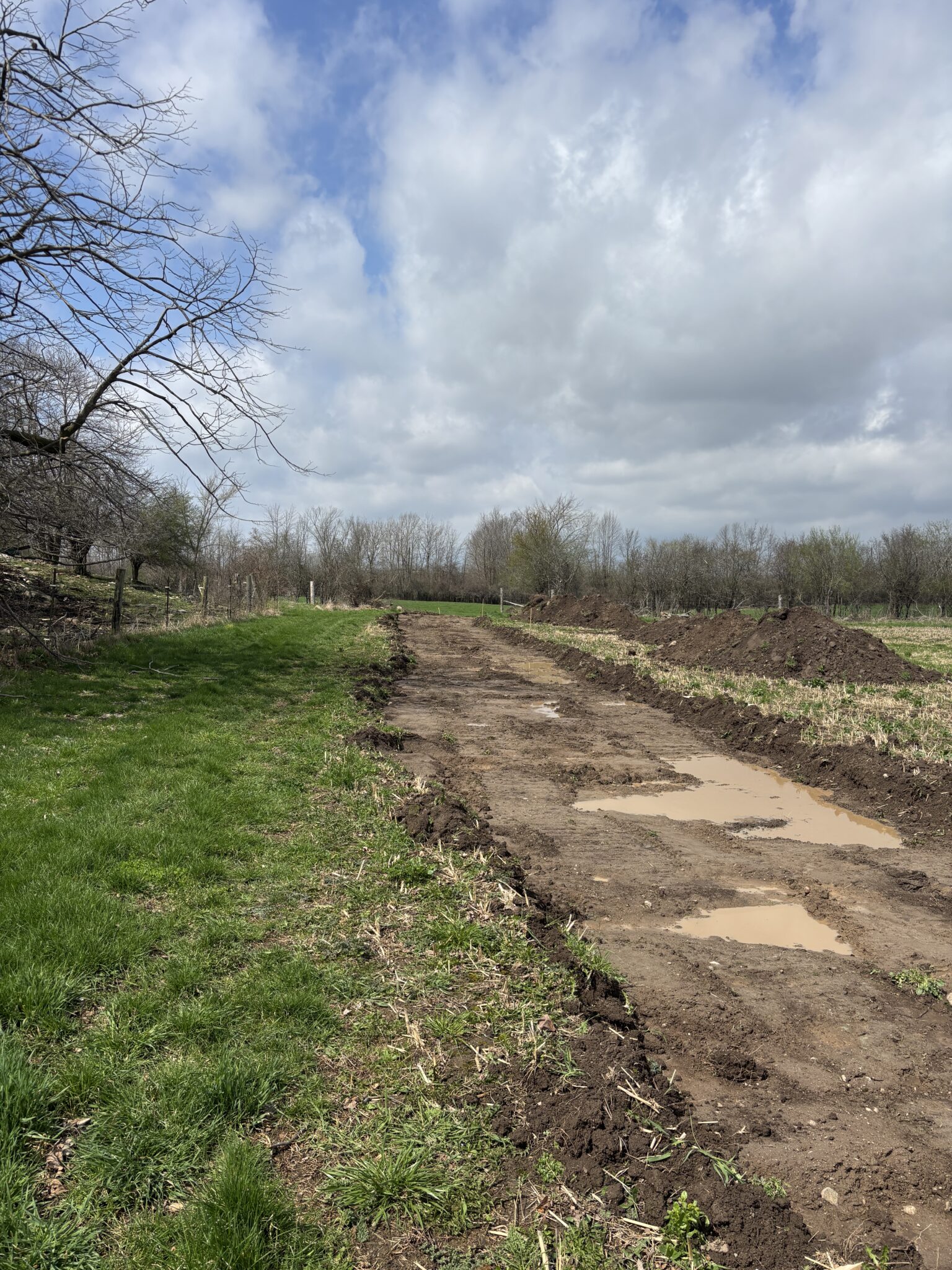 Building a Rural Driveway: Our 700-Metre Path to Our Farmhouse
