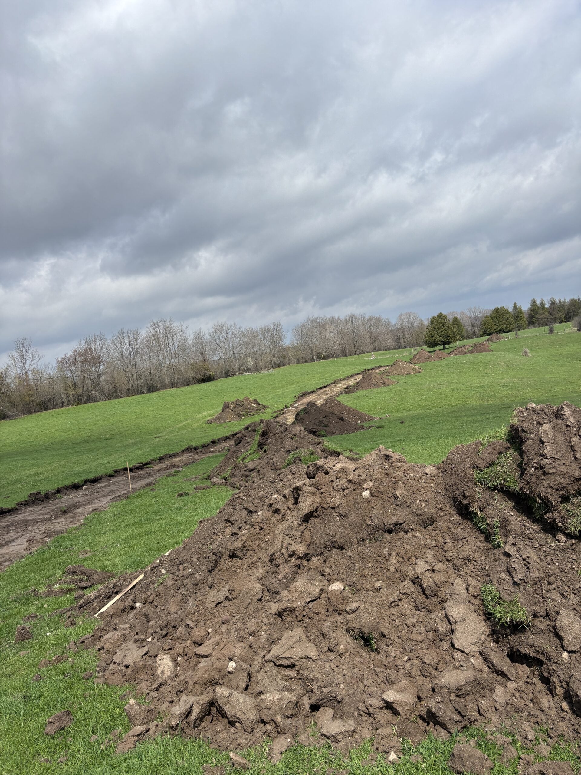 Building a Rural Driveway: Our 700-Metre Path to Our Farmhouse