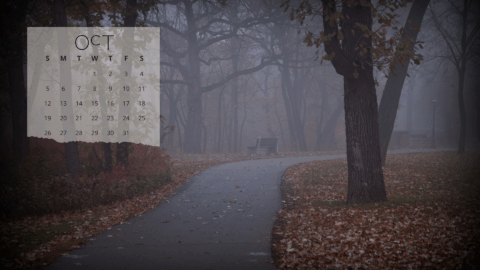 30 Free October 2025 Desktop Calendar Backgrounds (EASY DOWNLOAD)