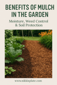 5 Natural Benefits of Mulch Brings For A Healthier Garden