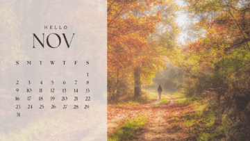 30 Free November 2025 Desktop Calendar Backgrounds (EASY DOWNLOAD)