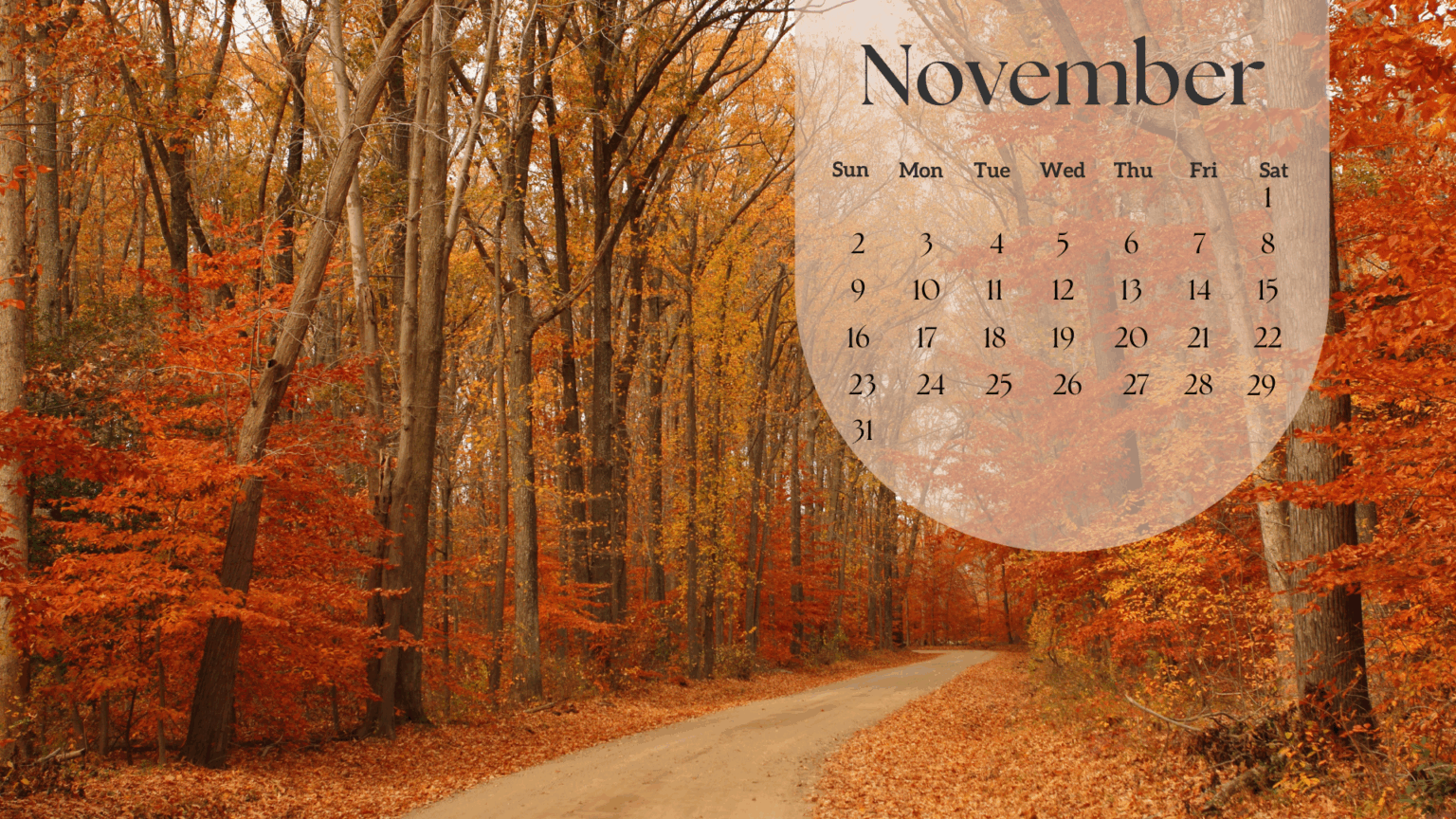30 Free November 2025 Desktop Calendar Backgrounds (EASY DOWNLOAD)