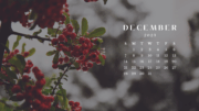 30 Free December 2025 Desktop Calendar Backgrounds (EASY DOWNLOAD)