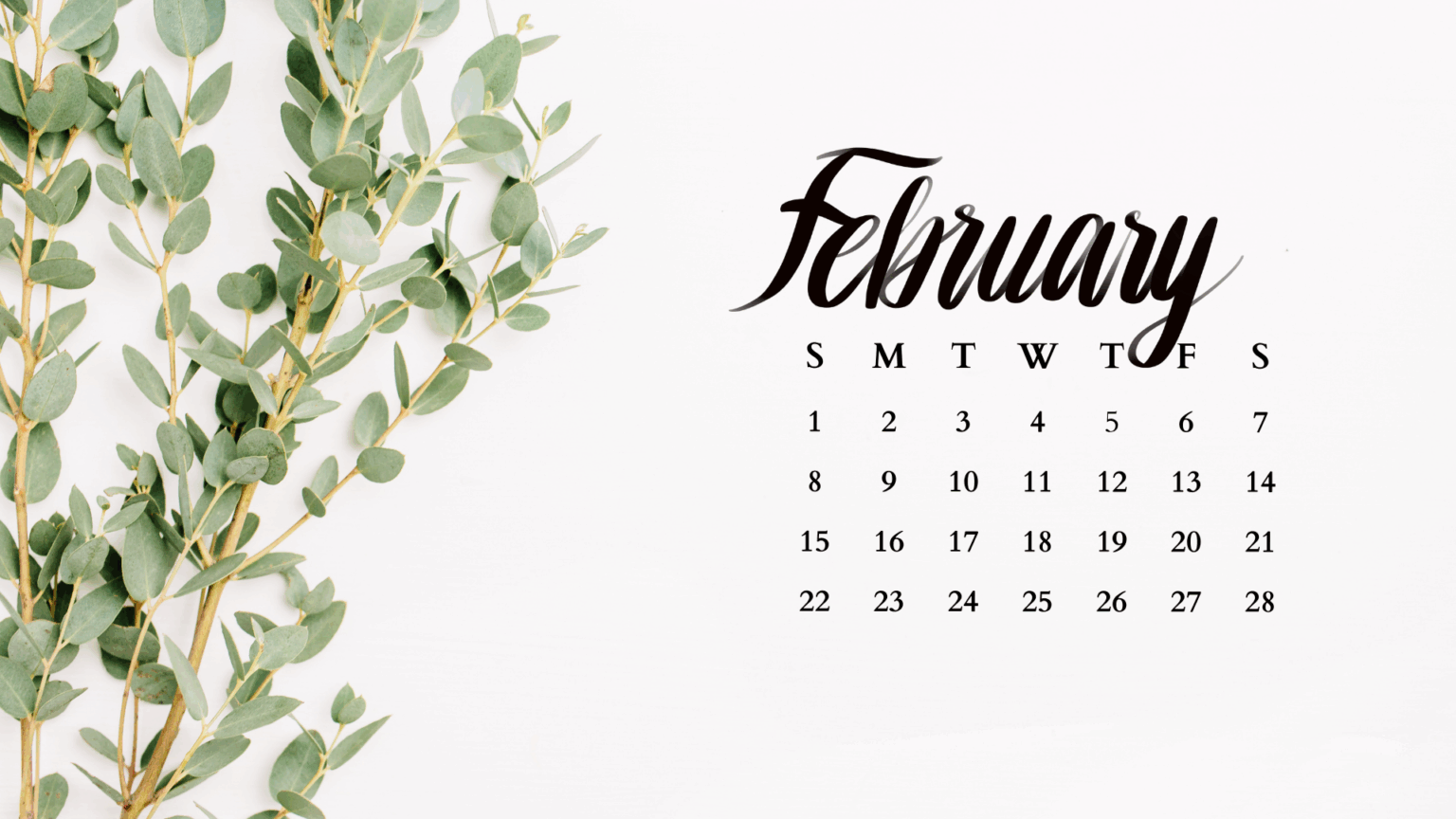 30 Free February 2026 Desktop Calendar Backgrounds (EASY DOWNLOAD)