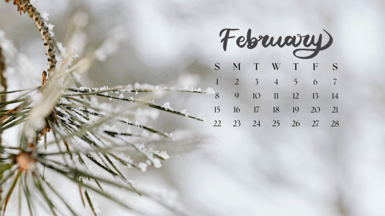 30 Free February 2026 Desktop Calendar Backgrounds (EASY DOWNLOAD)